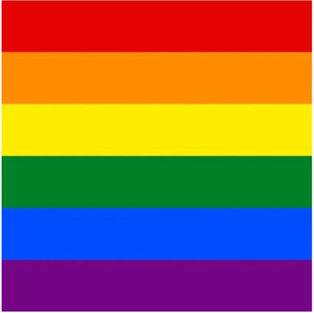 Buy Pride Flag Digital Art, Png Jpg Svg Files, Wall Art, Shirt Decal ...