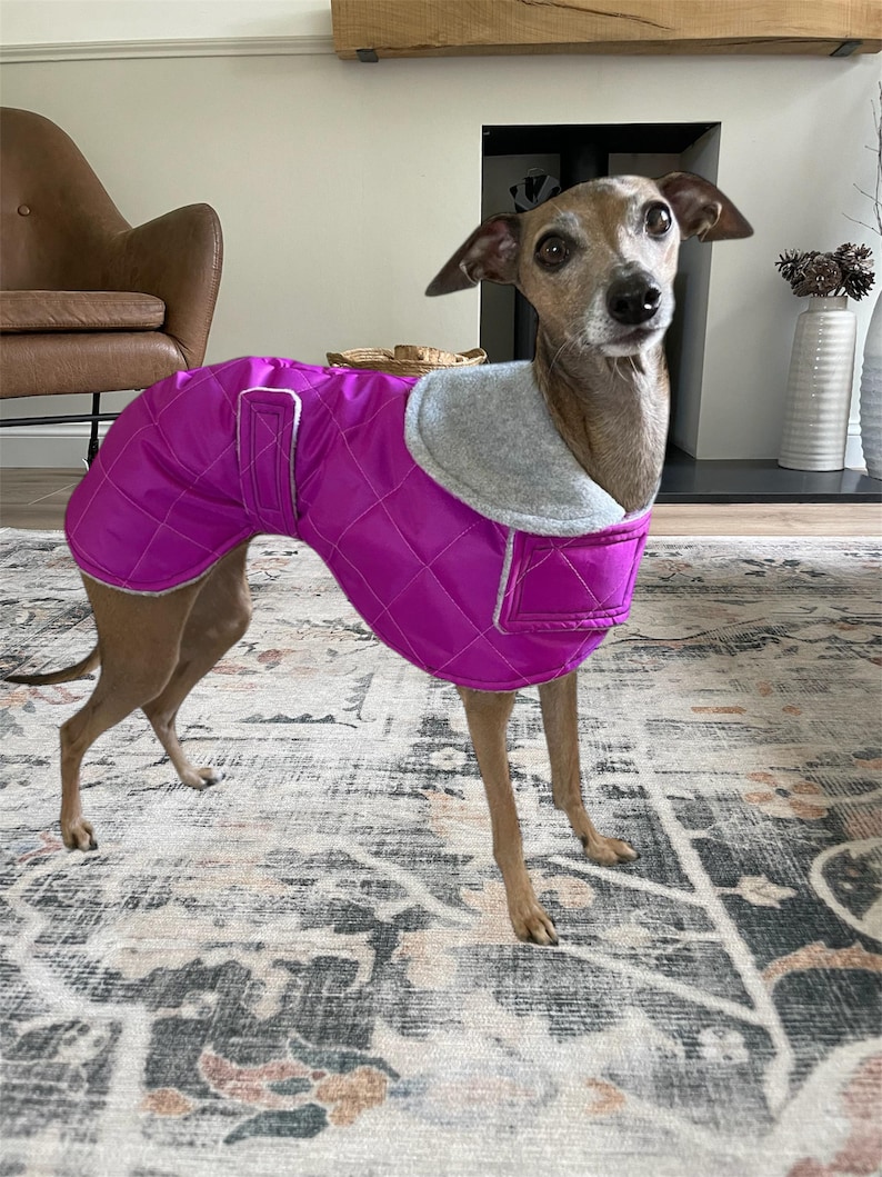 Sewing Pattern for Italian Greyhound Coat / Jacket / Waterproof ...