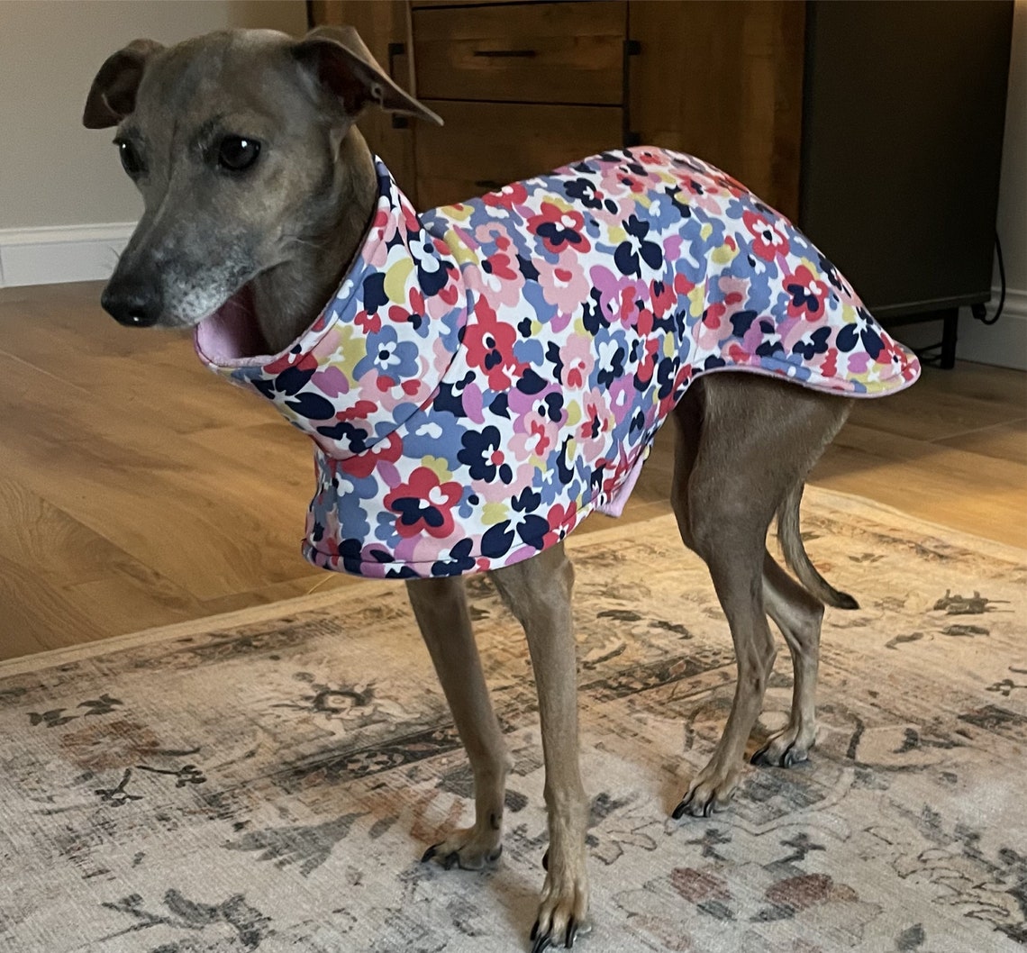 Sewing Pattern for Italian Greyhound Coat / Jacket / Waterproof - Etsy