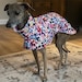 Sewing Pattern for Italian Greyhound Coat / Jacket / Waterproof ...