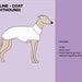 Sewing Pattern for Italian Greyhound Coat / Jacket / Waterproof ...