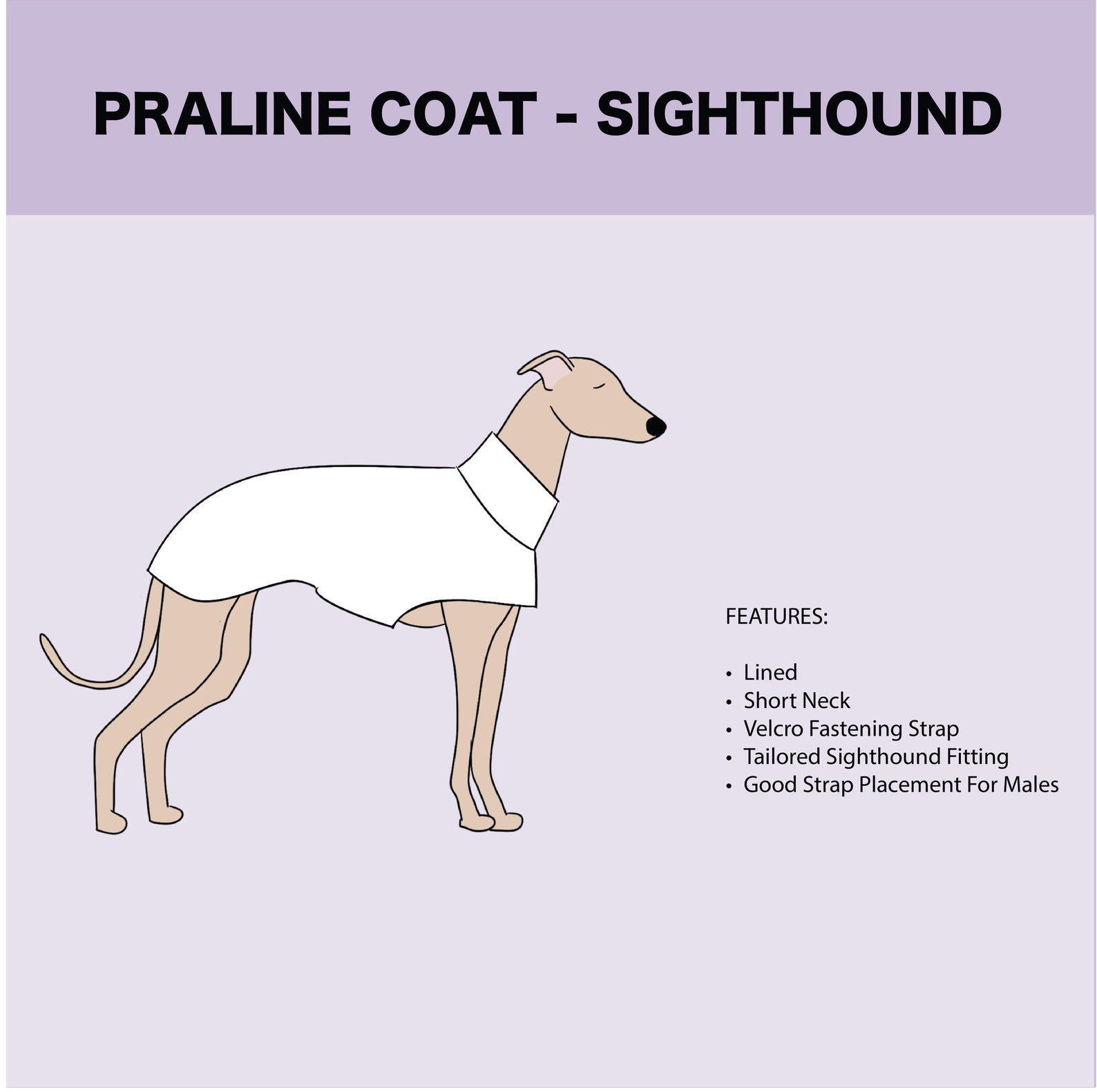 Sewing Pattern for Italian Greyhound Coat / Jacket / Waterproof - Etsy
