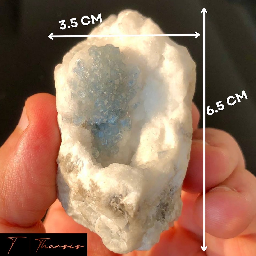 Blue Cavansite Crystals Flower in Clear White Natrolite Heulandite ...