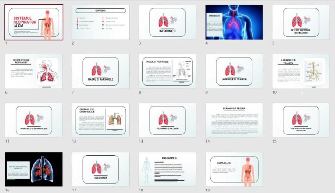 Powerpoint Template for School Respiratory System Powerpoint ...