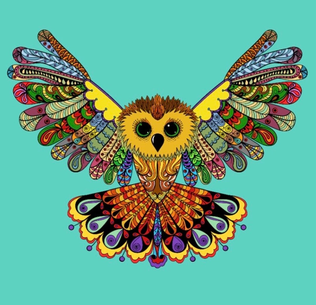 Whadda Hoot Digital Art for Personal Gifts - Etsy