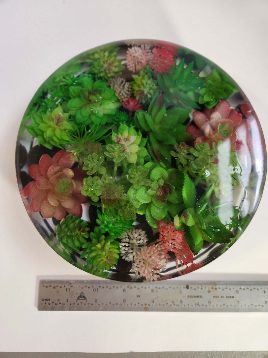Succulents in Epoxy Resin - Etsy