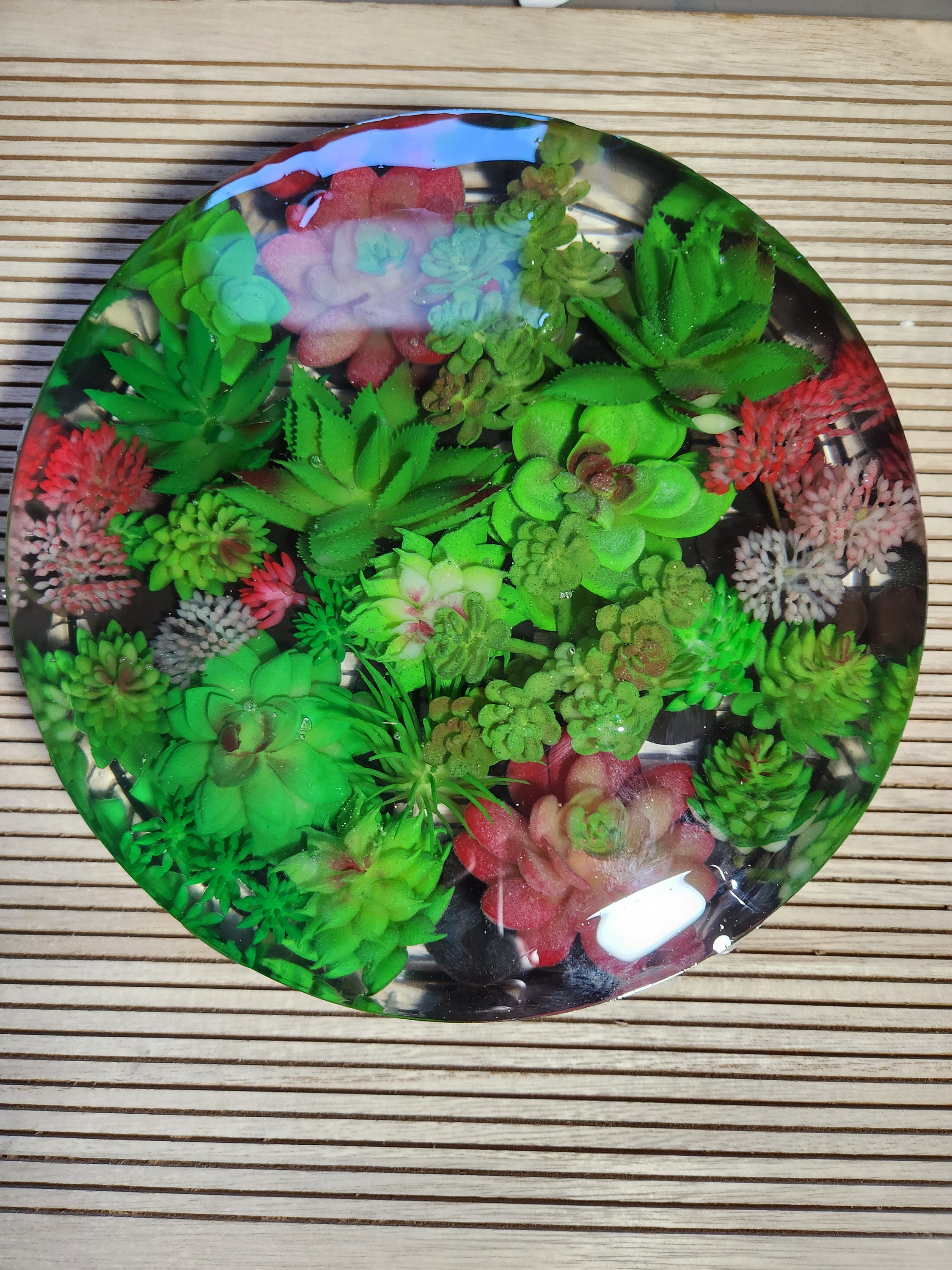 Succulents in Epoxy Resin - Etsy