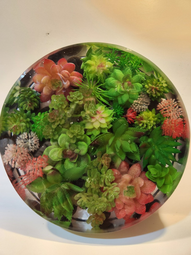 Succulents in Epoxy Resin - Etsy