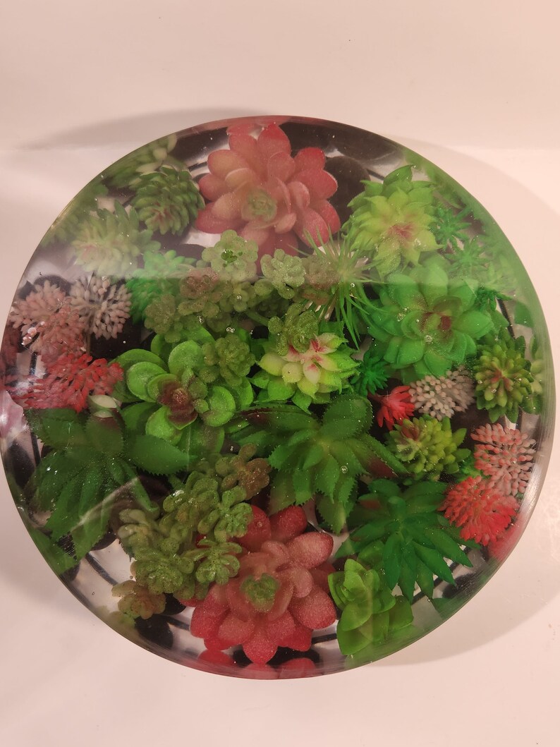 Succulents in Epoxy Resin - Etsy