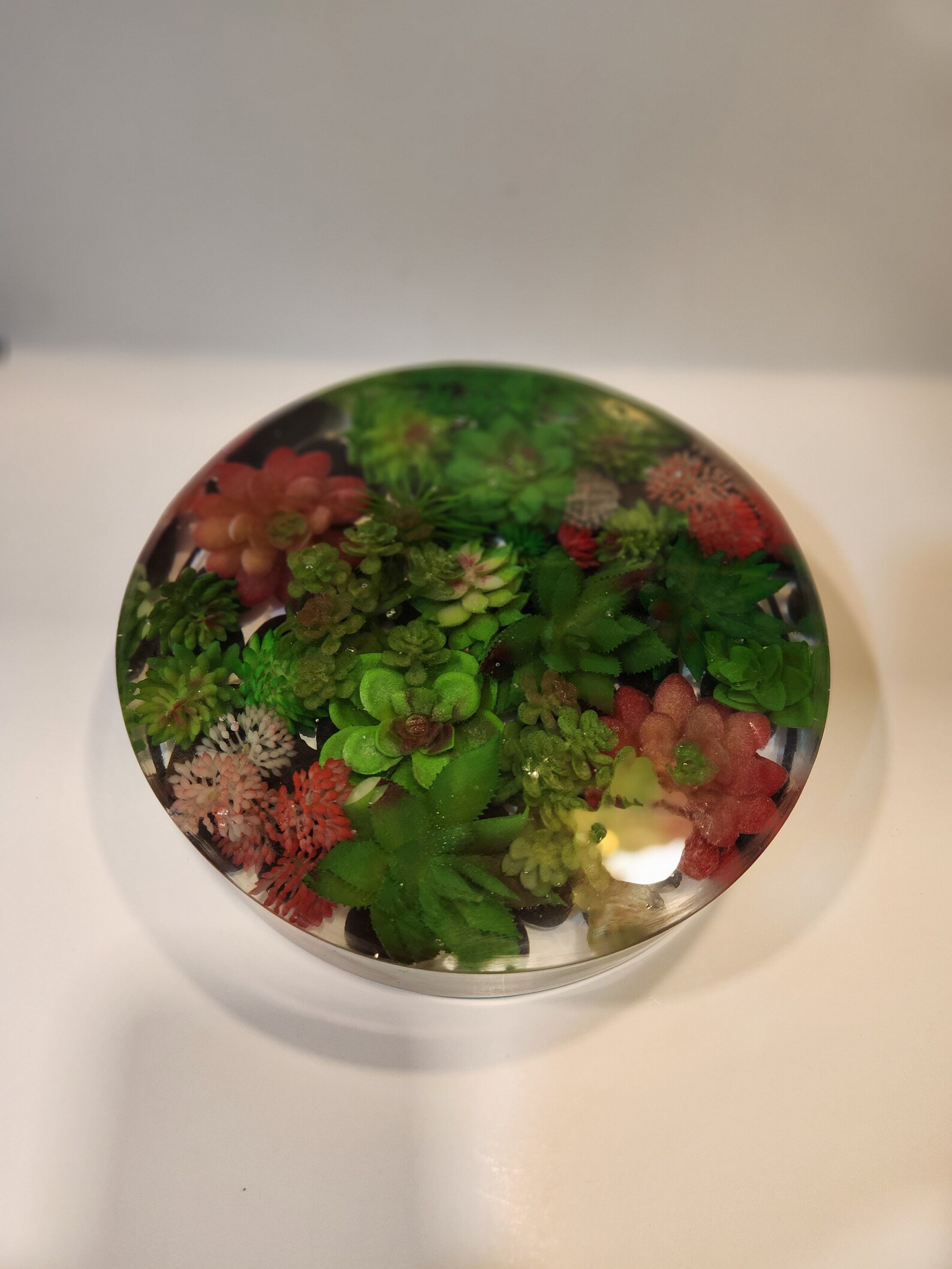 Succulents in Epoxy Resin - Etsy