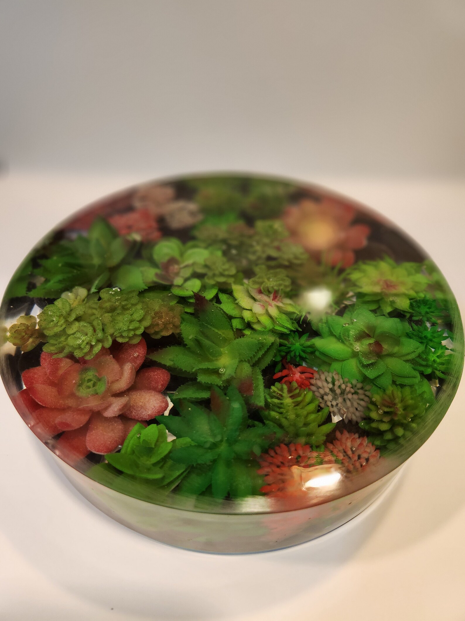 Succulents in Epoxy Resin - Etsy