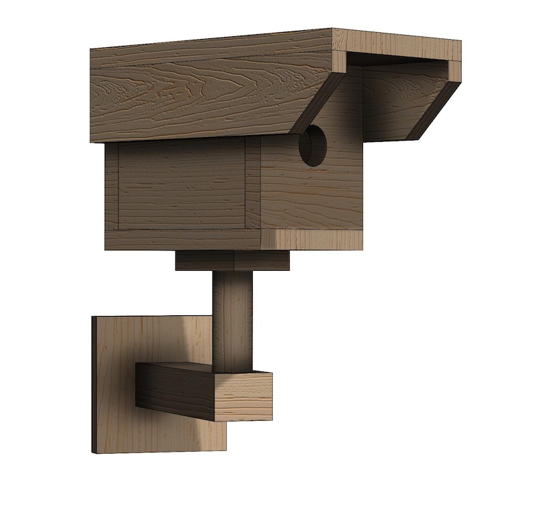 Security Camera Birdhouse Plans for Wren, Chickadee, Titmouse, or ...