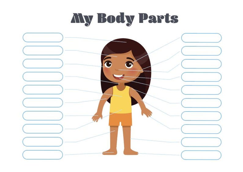 Human Body Printable Learning Pack: Cut & Paste Anatomy (PDF) - Etsy