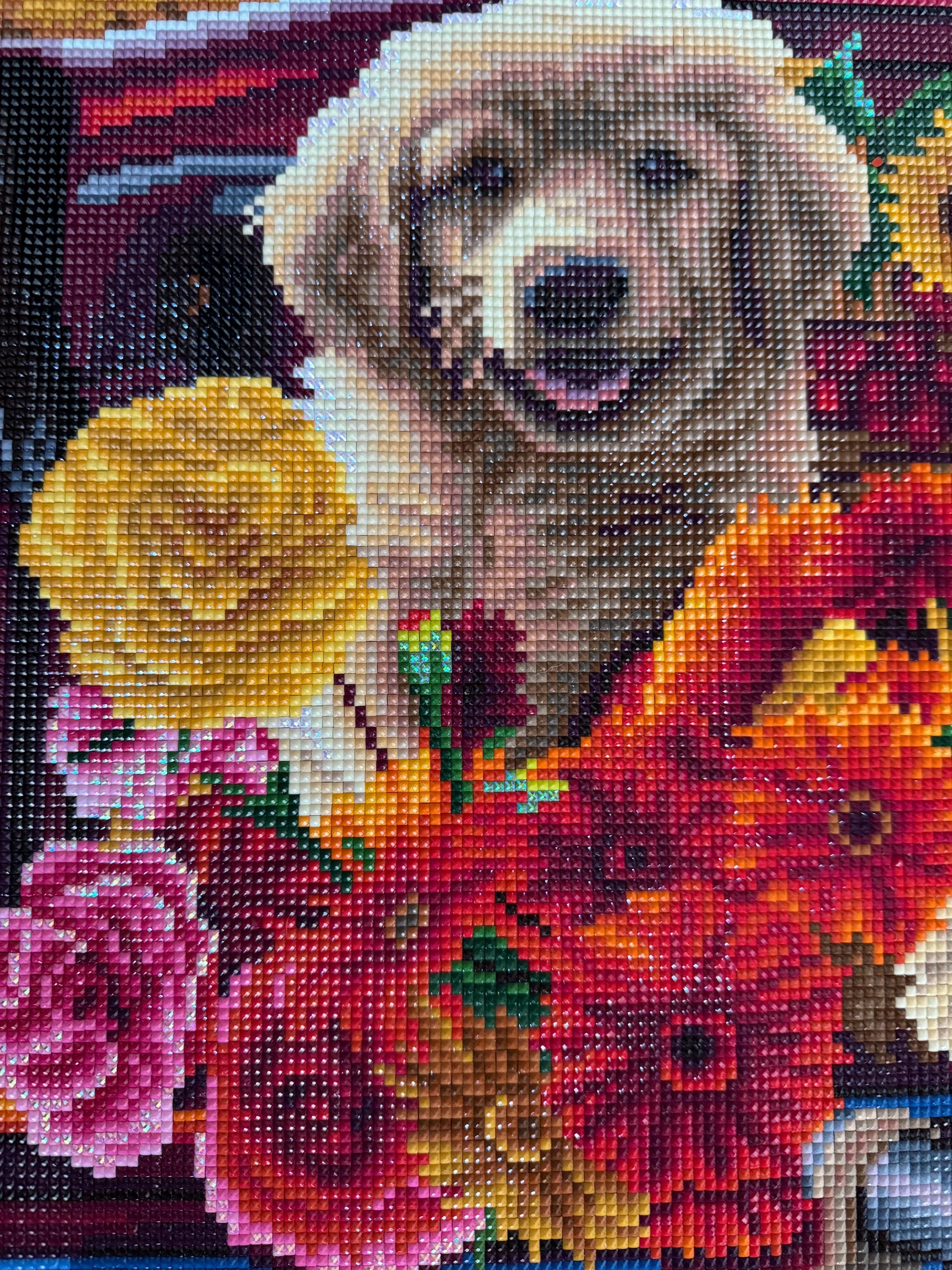 Diamond Painting Finished | Colorful Dog Art | Diamond Painting Wall ...