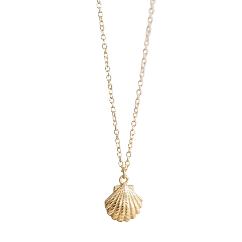 Scallop Shell Necklace - Etsy