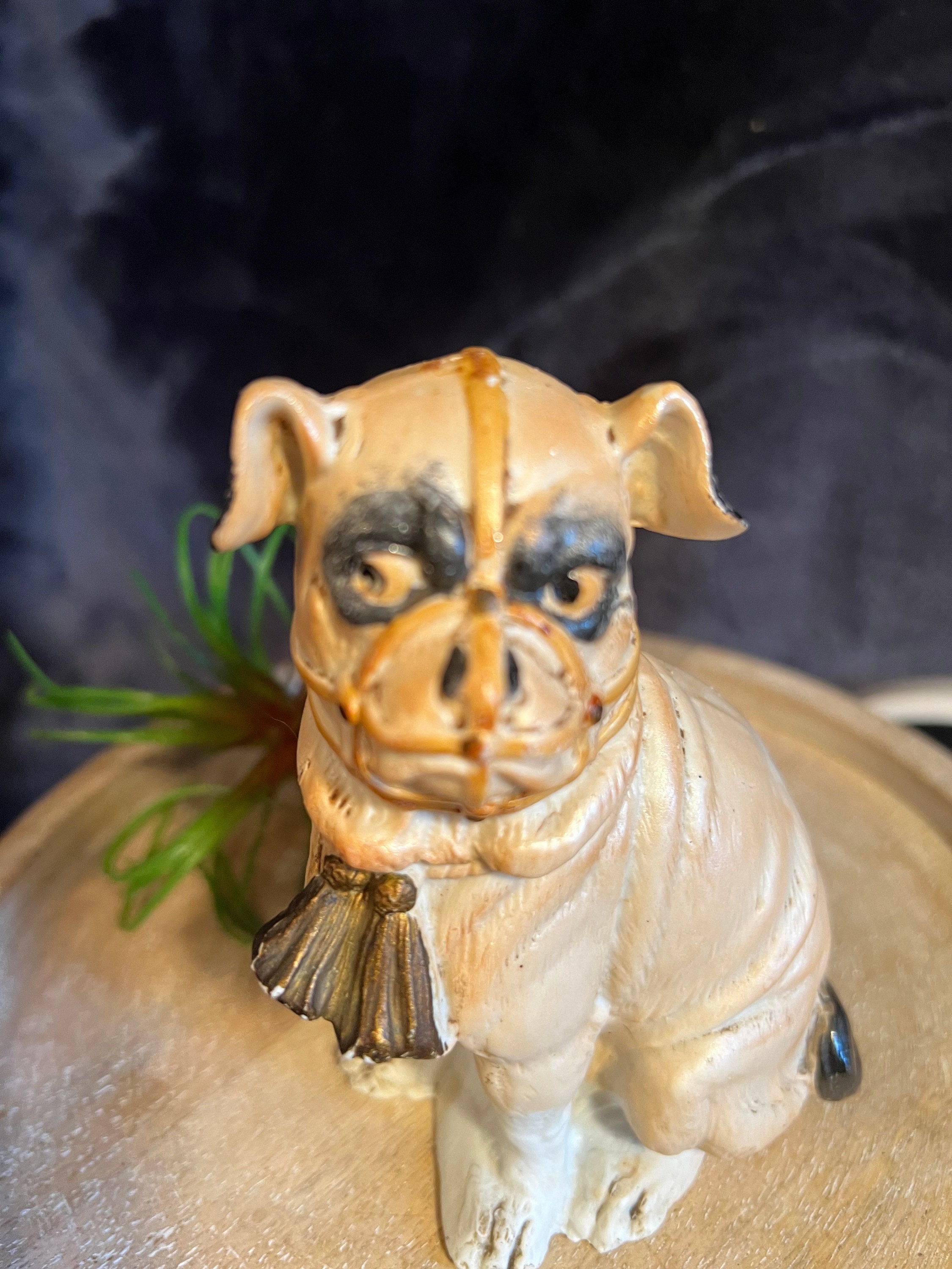 Antique Staffordshire Style Pug With Muzzle; Hand Painted Bisque ...