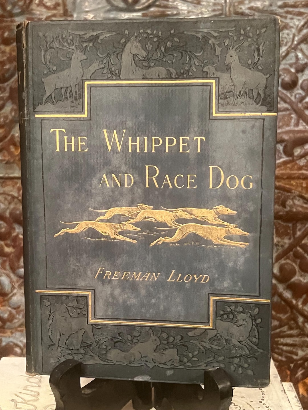 1894 First Edition Whippet and Race Dog Book by Freeman Lloyd - Etsy