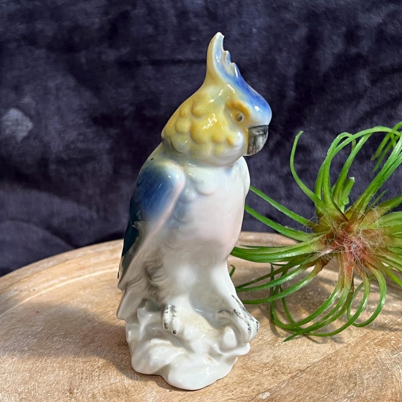 Porcelain Germany Gdr - Etsy