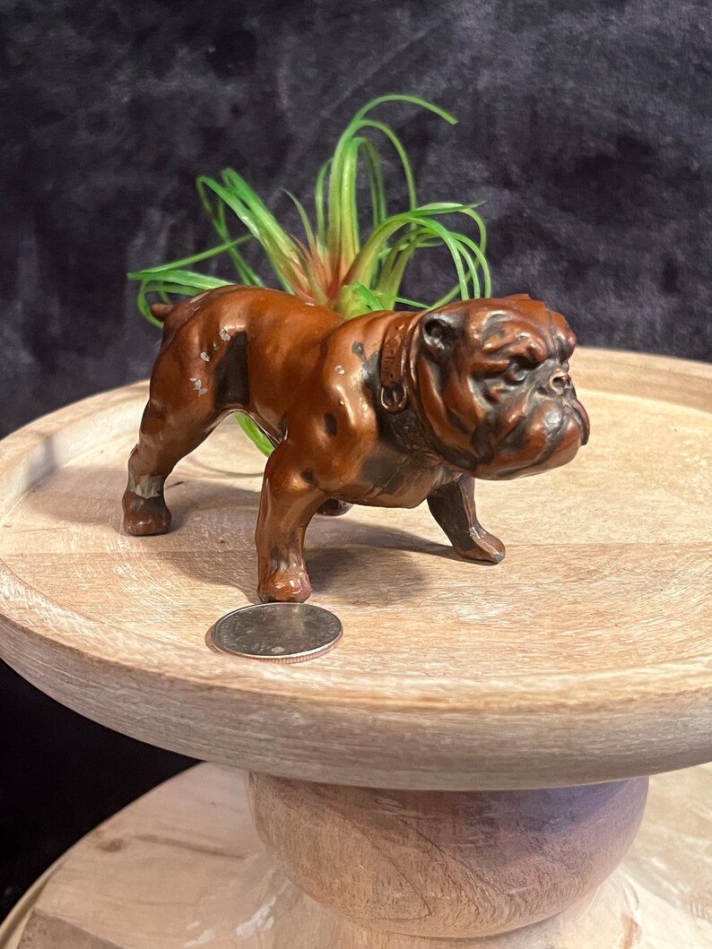 Cute Vintage Cast Metal Bulldog: Angry Looking Bulldog Figurine Great ...