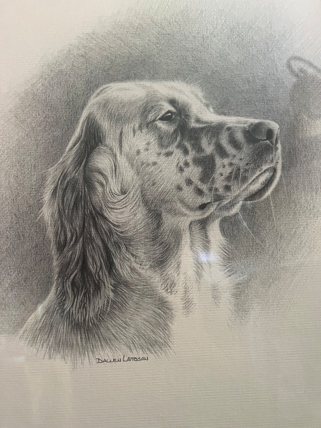 Dallen Lambson English Setter Pencil Drawing, Framed Dog Art - Etsy