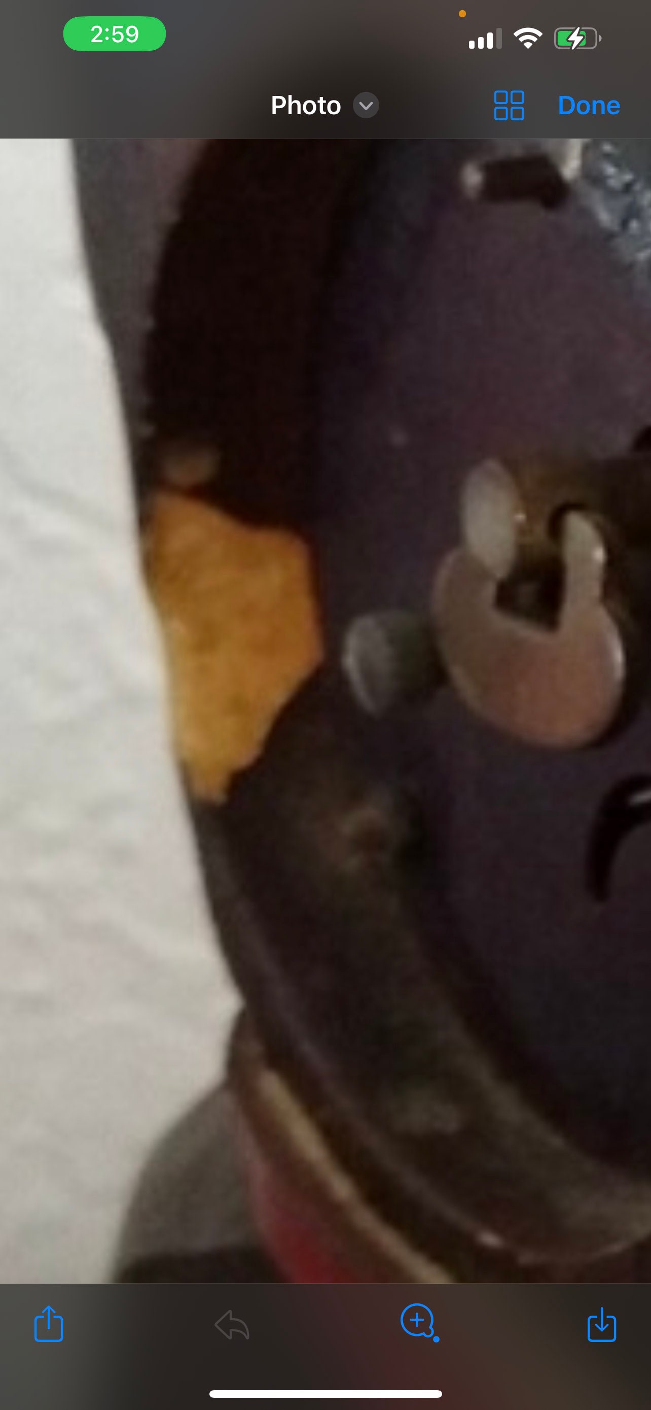 Antique Oswald German Googly Eye Clock French Bulldog Very Rare Unique ...