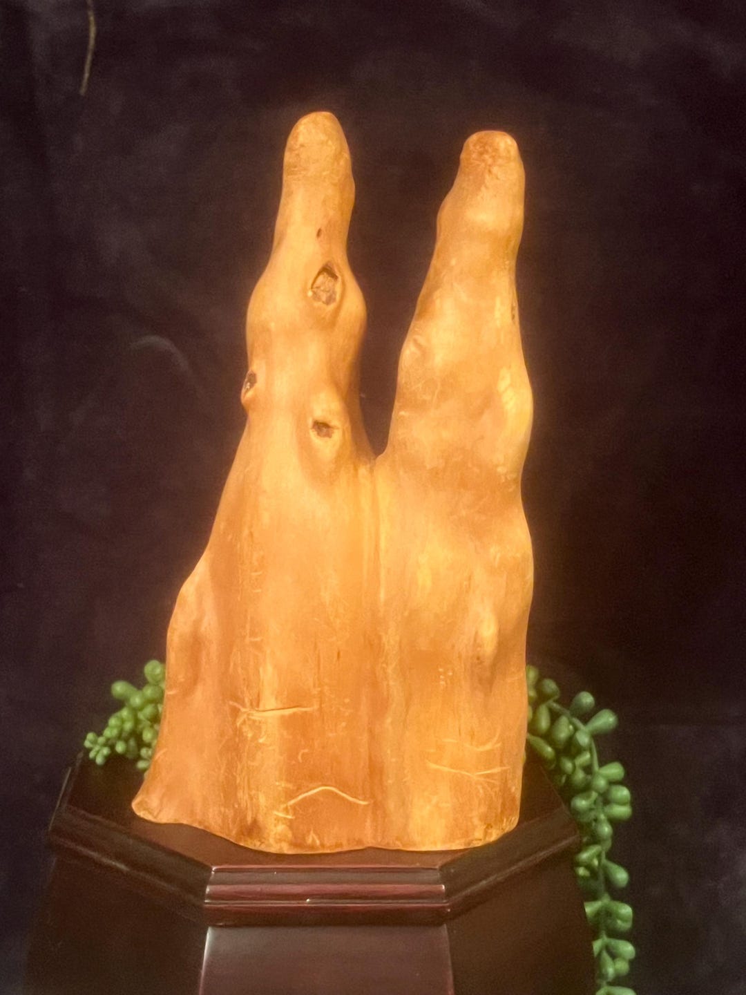 Vintage Small Cypress Knee Sculpture; Cypress Tree Root; Mid Century - Etsy