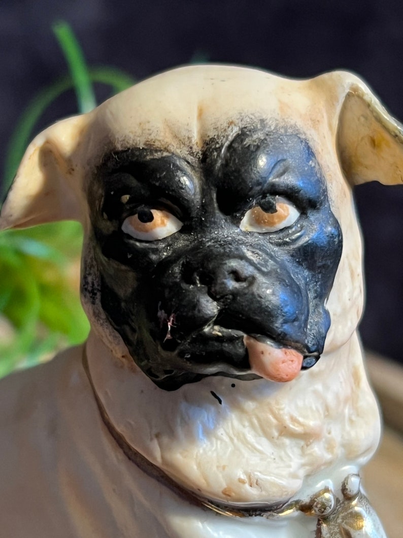 Antique Late 19th Century/early 20th Century Victorian Bisque Pug ...