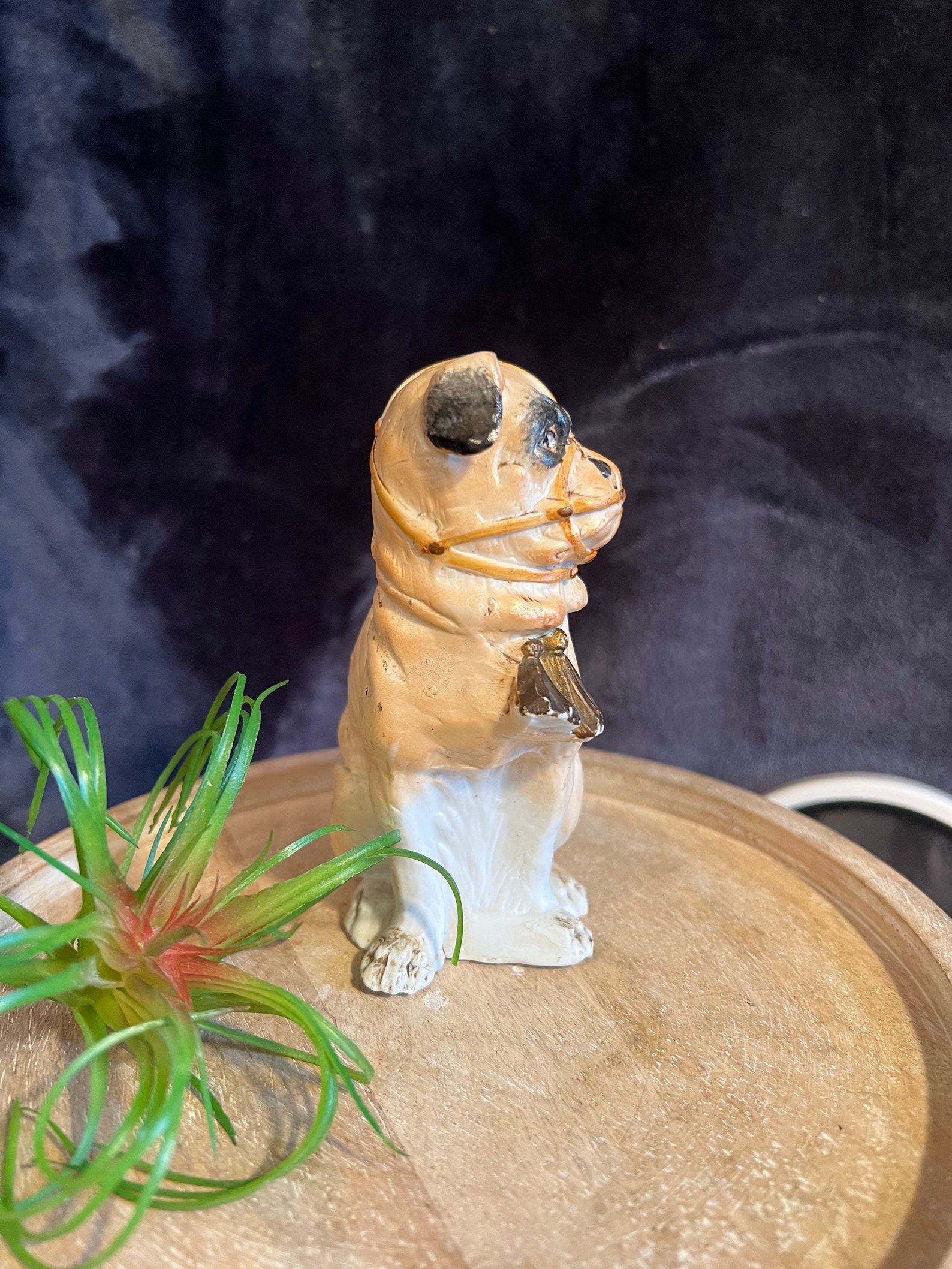 Antique Staffordshire Style Pug With Muzzle; Hand Painted Bisque ...