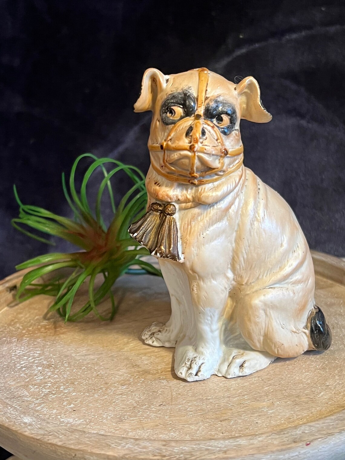 Antique Staffordshire Style Pug With Muzzle; Hand Painted Bisque ...