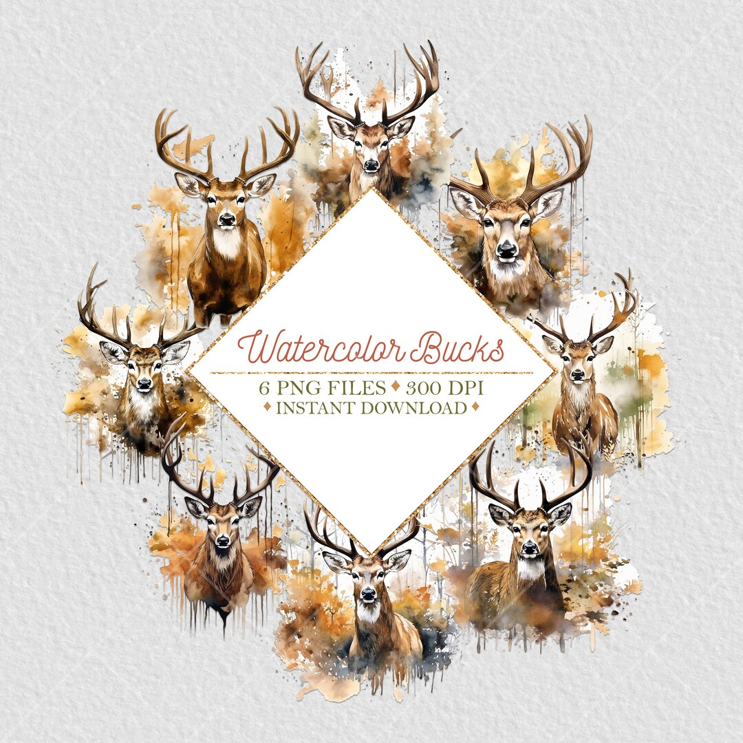 Watercolor Deer Bucks Clip Art - PNG - Instant Download - Etsy