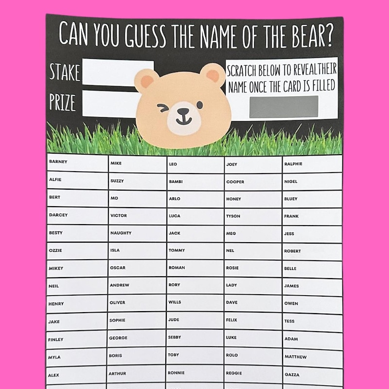 Guess the Bears Name - Etsy UK