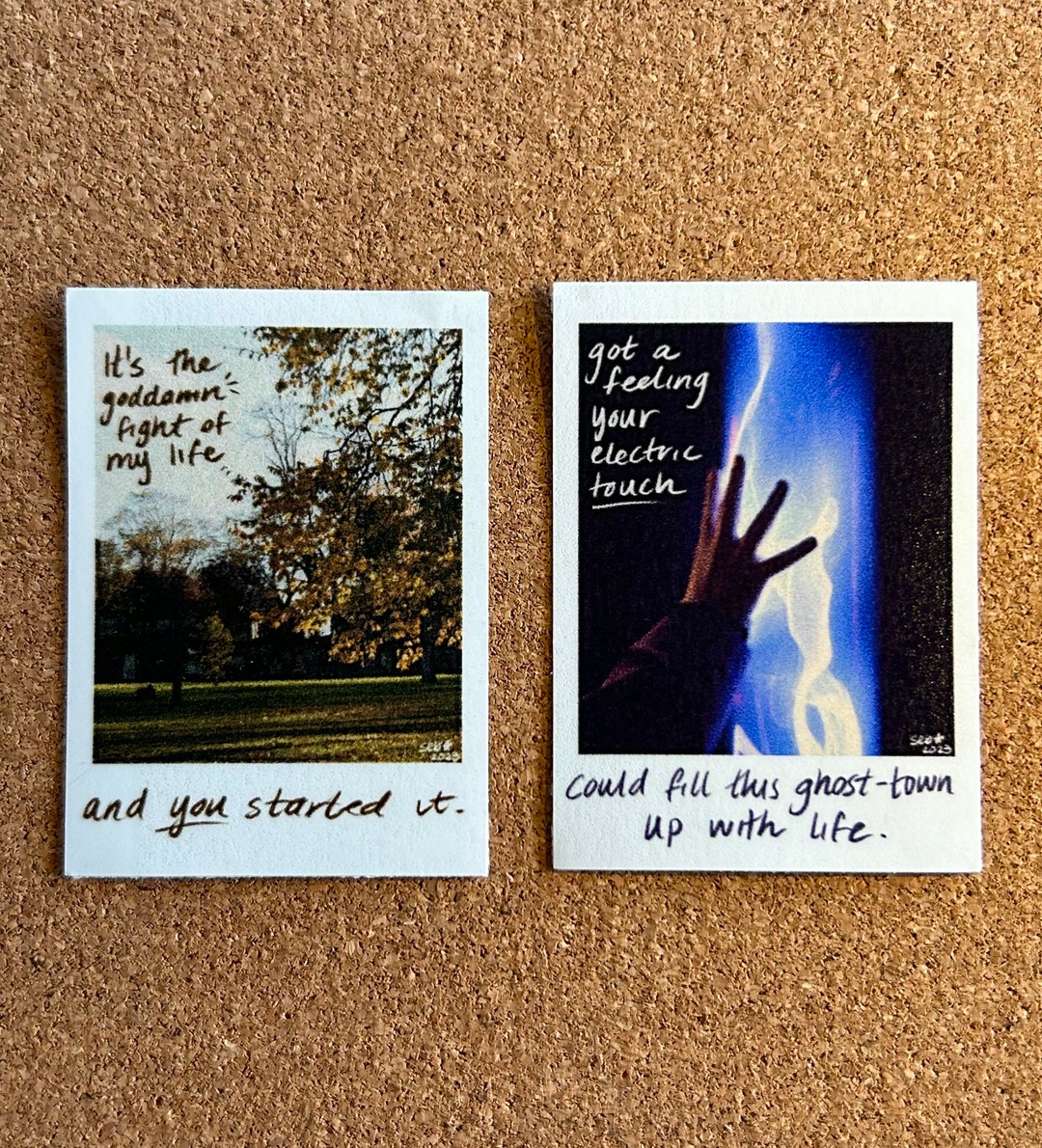 Taylor Swift Polaroid Photo Stickers Cute Vinyl Stickers for Laptop ...