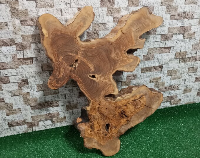 Unique Olive Tree,raw Edge Wood,live Edge Wood,olive Wood,olive Root ...