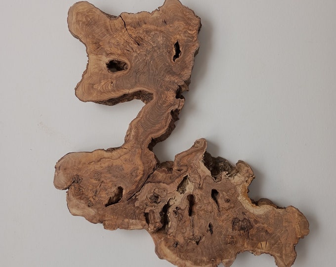 Big Size OLIVE Wood,live Edge Wood,olive Tree Slice,olive Wood,live ...