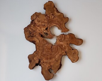 Live Edge Wood Slab Olive Tree Slice Round Reclaimed Unique - Etsy