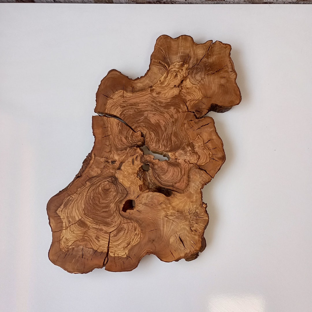 27-20 Inch Live Edge Olive Root Slices.olive Tree Root Slice.raw ...