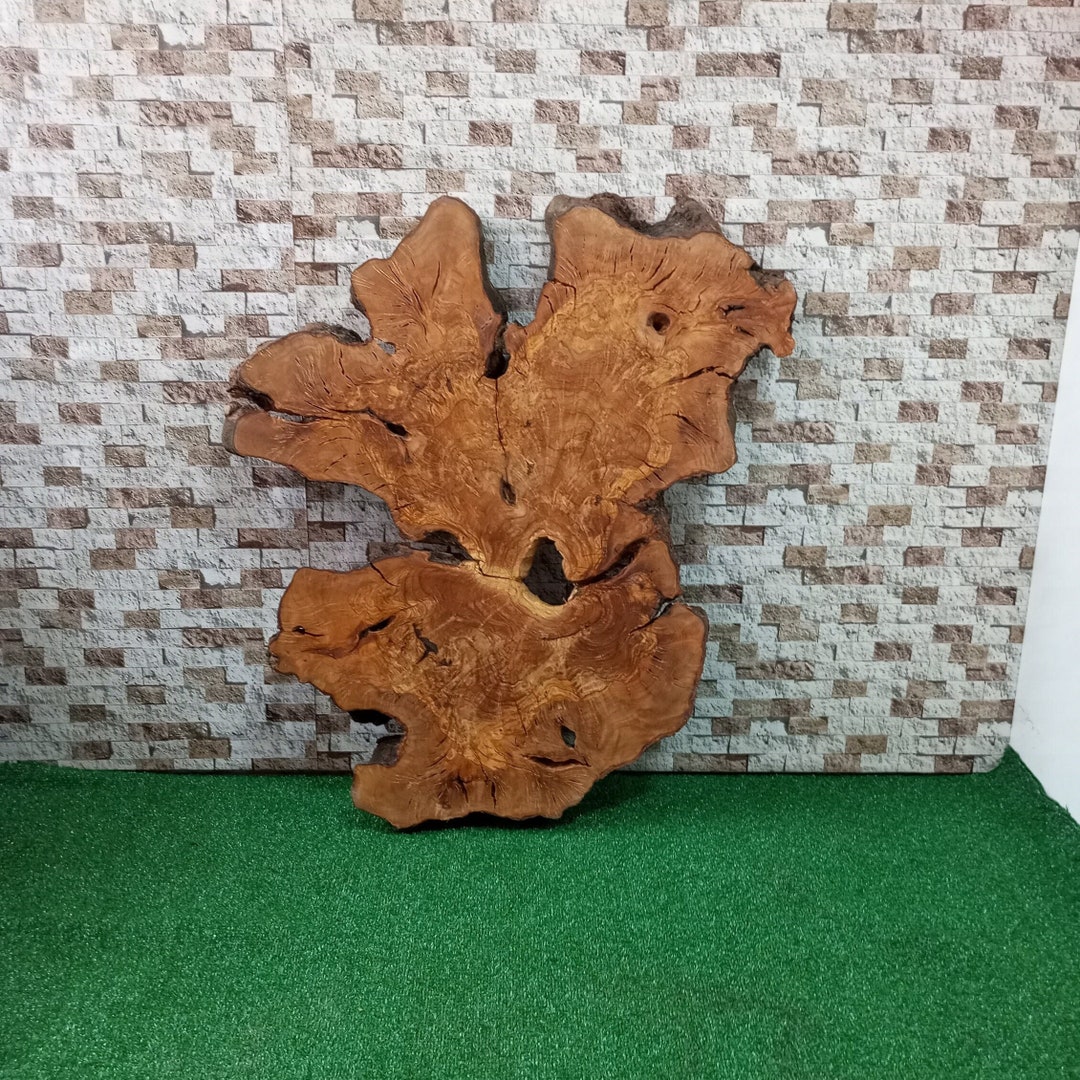 Big Size OLIVE Wood,live Edge Wood,olive Tree Slice,olive Wood,live ...
