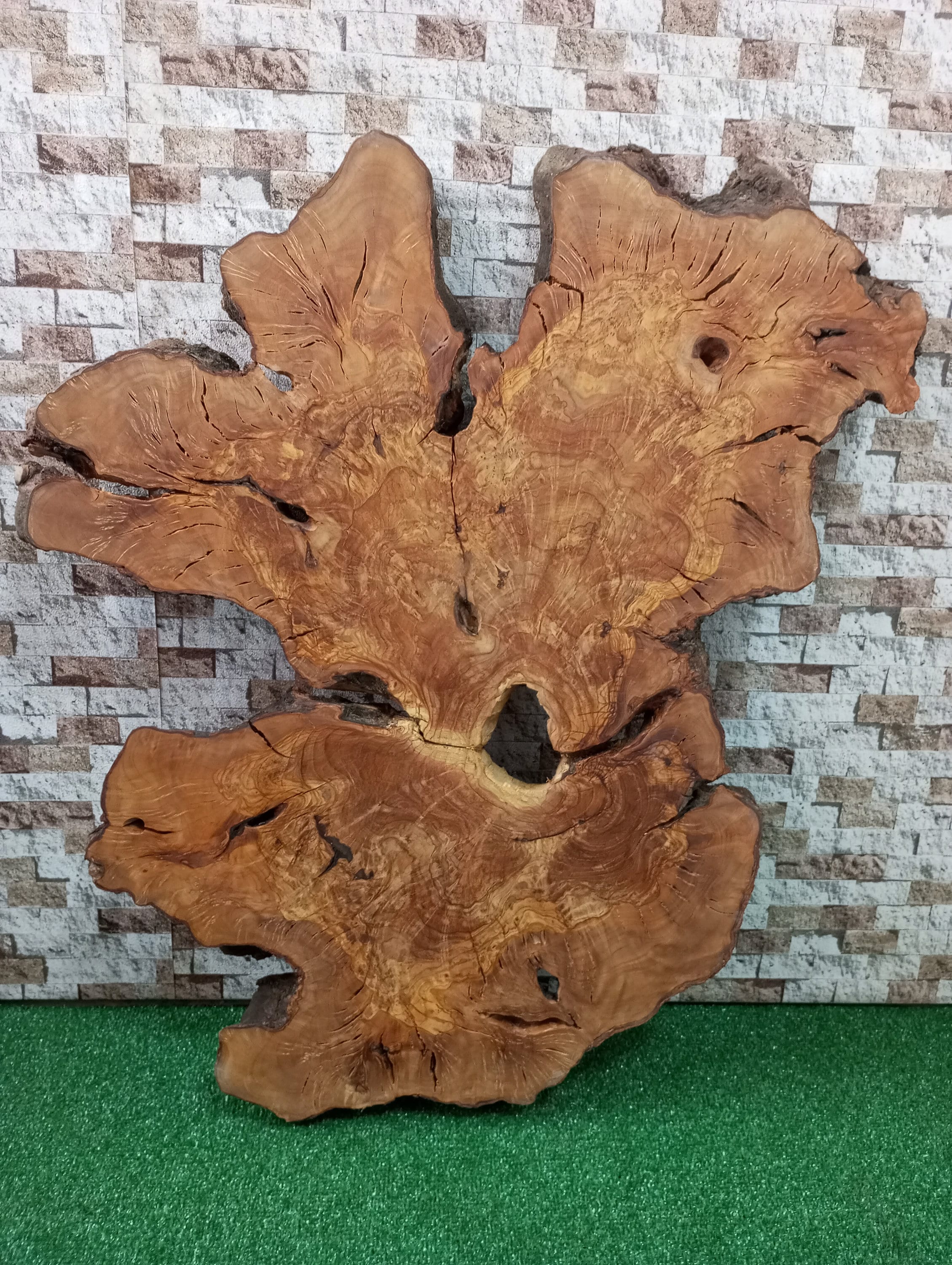 Big Size OLIVE Wood,live Edge Wood,olive Tree Slice,olive Wood,live ...