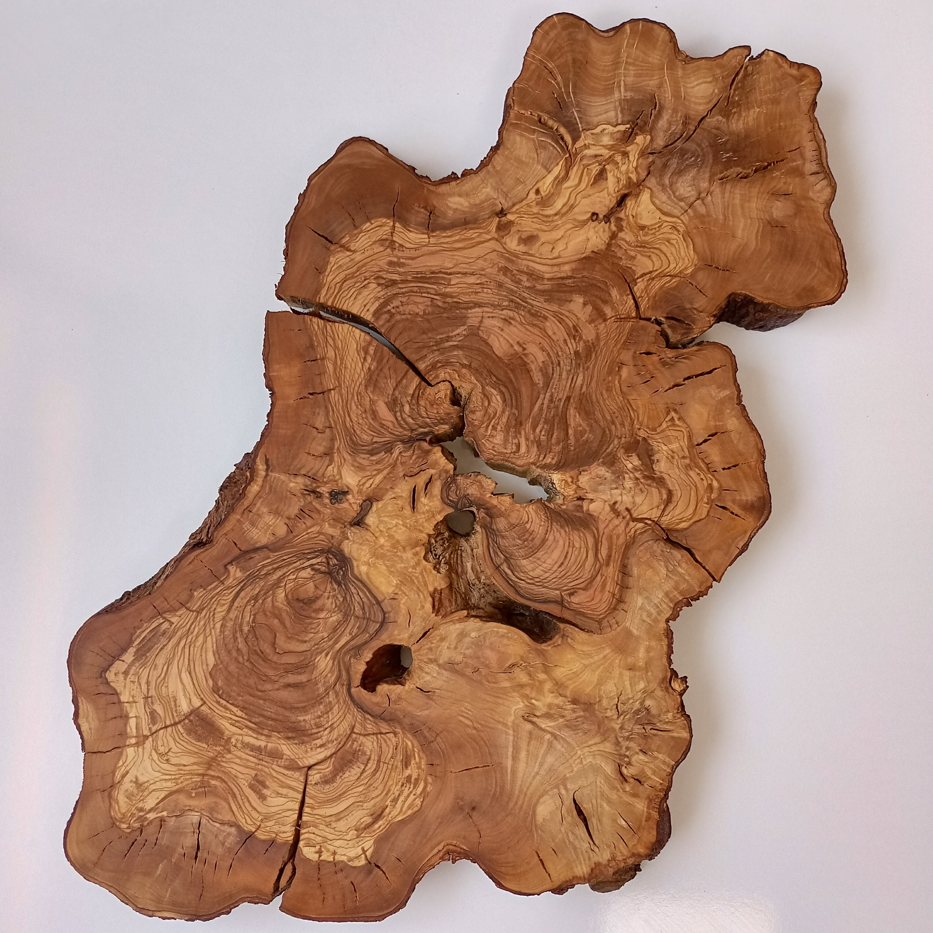 27-20 Inch Live Edge Olive Root Slices.olive Tree Root Slice.raw ...
