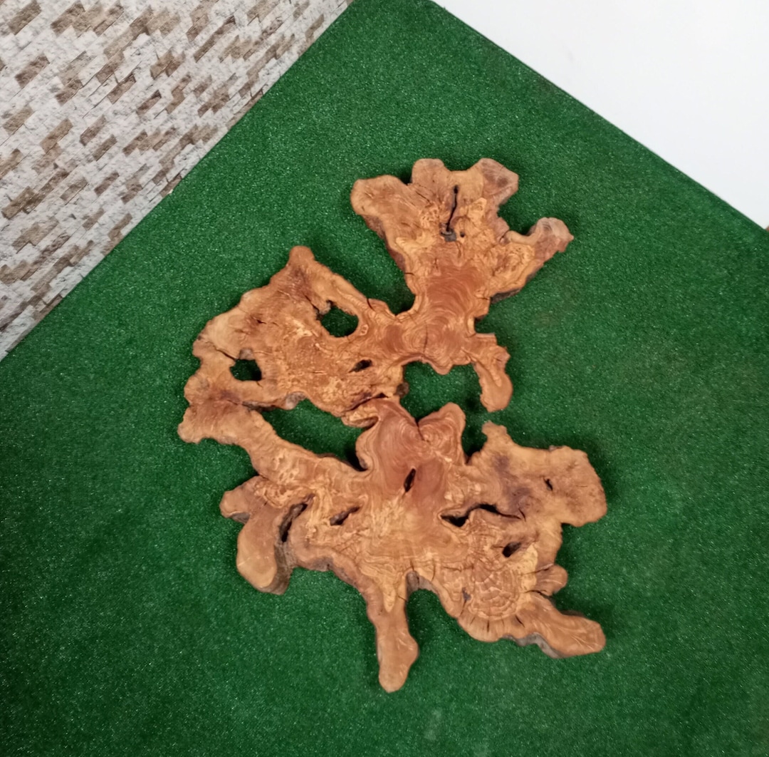 Big Size OLIVE Wood,live Edge Wood,olive Tree Slice,olive Wood,live ...