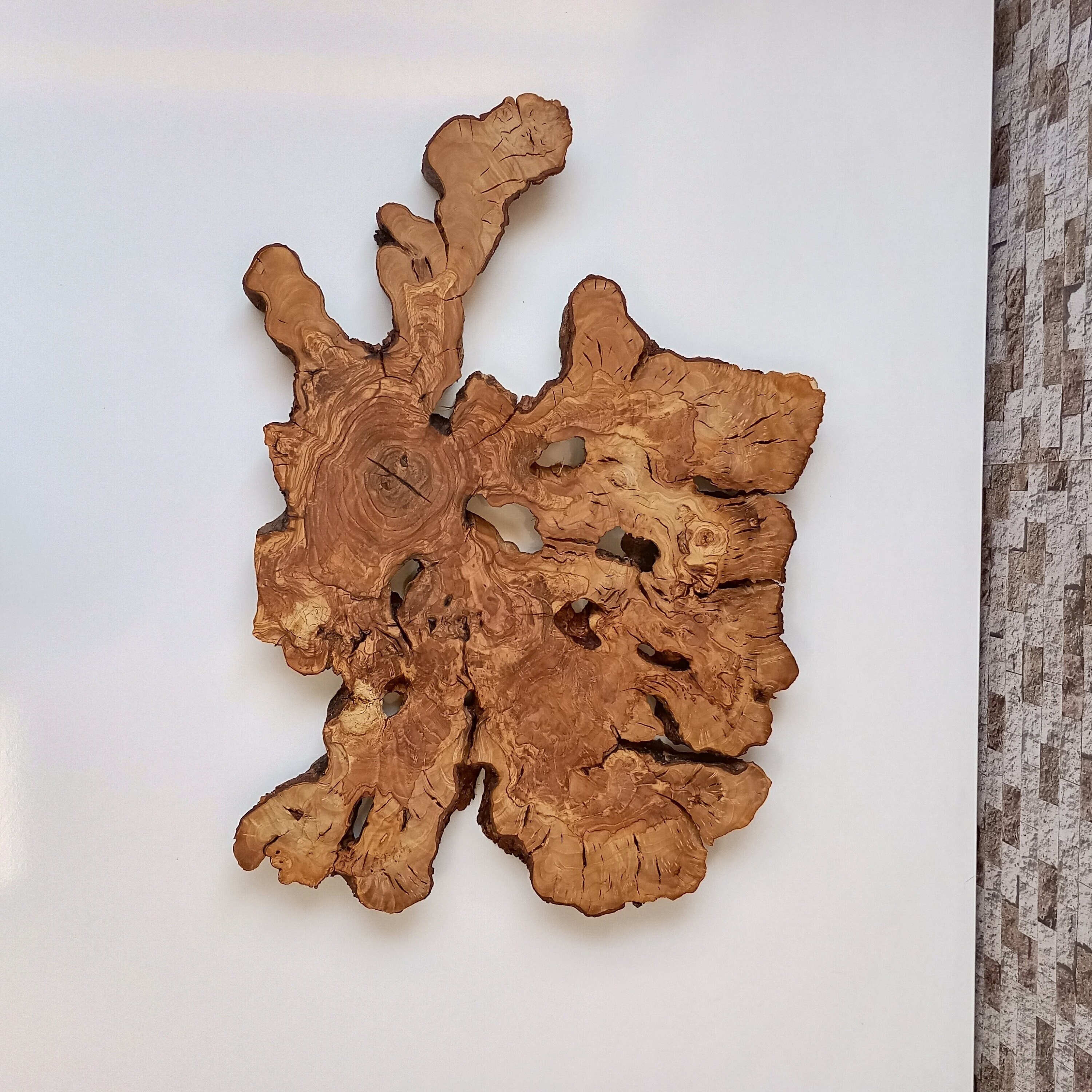 Olive Tree Root Slice.raw Materials for Coffee Table and Epoxy Works.26 ...