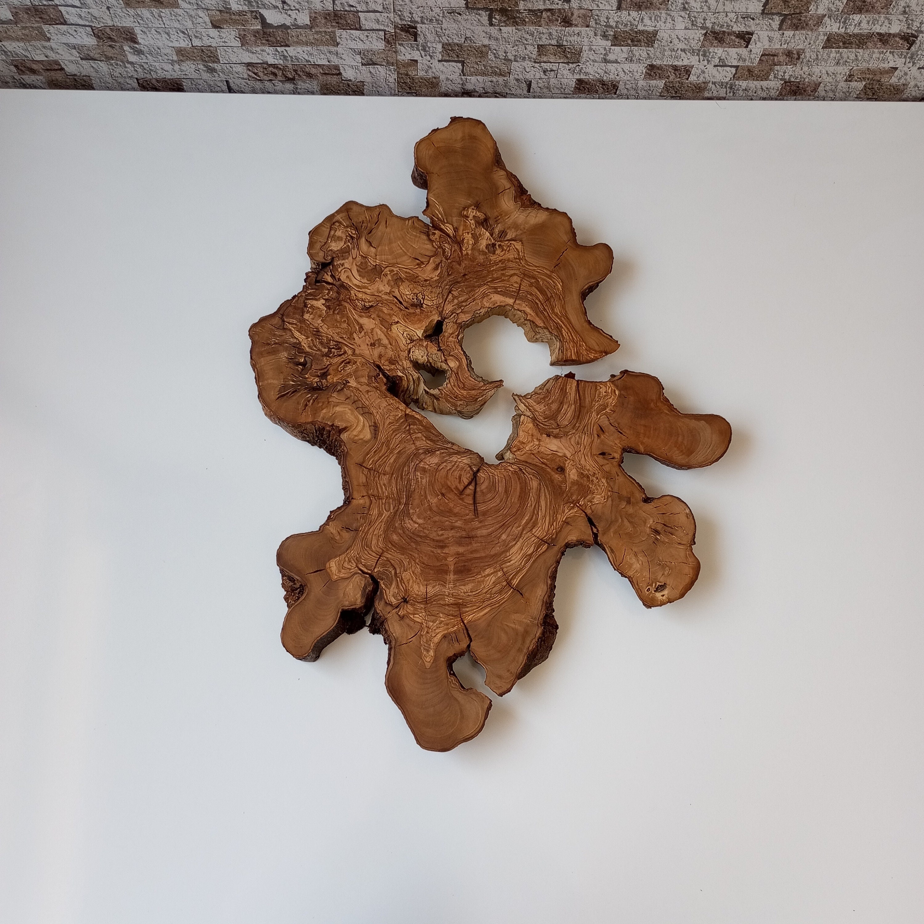 26-20 Inch Live Edge Olive Root Slices.olive Tree Root Slice.raw ...