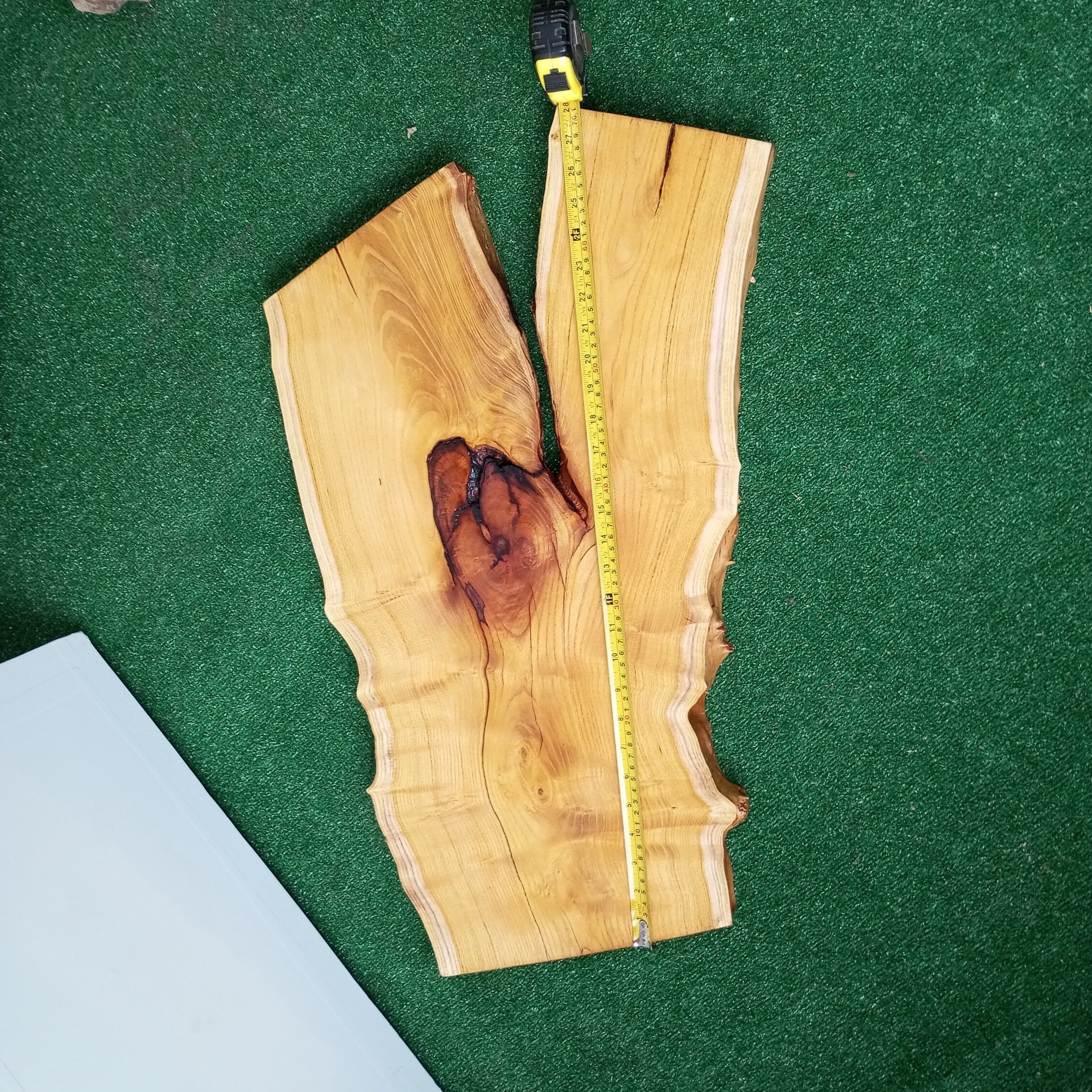 Big Size Mulberry Tree,mulberry Tree Slices,epoxy Wood Works,live Edge ...