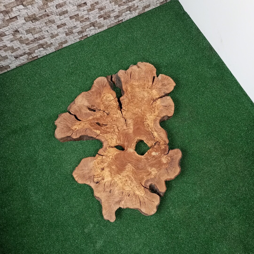 Big Size OLIVE Wood,live Edge Wood,olive Tree Slice,olive Wood,live ...