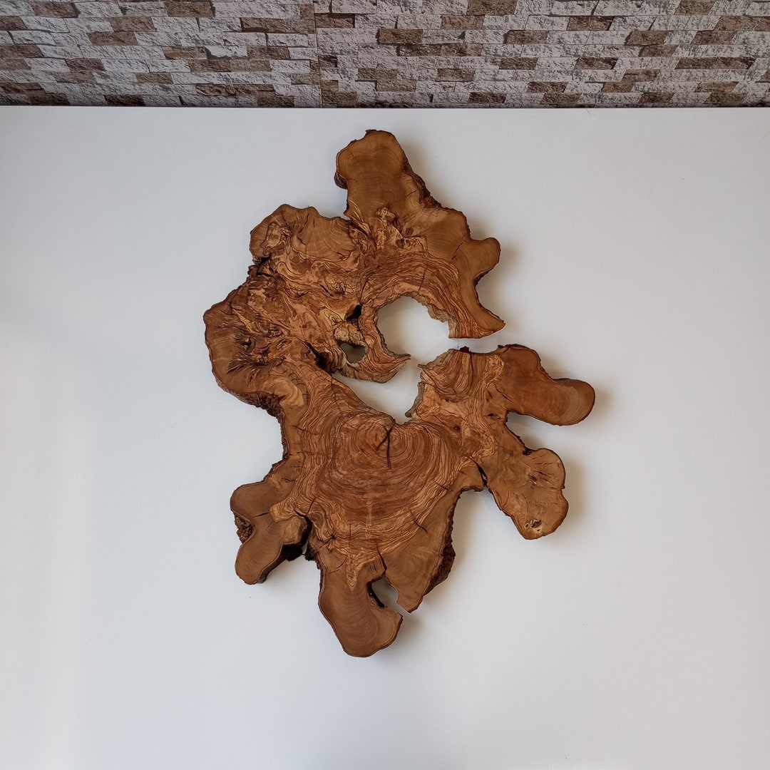 26-20 Inch Live Edge Olive Root Slices.olive Tree Root Slice.raw ...