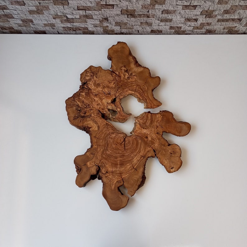 26-20 Inch Live Edge Olive Root Slices.olive Tree Root Slice.raw ...