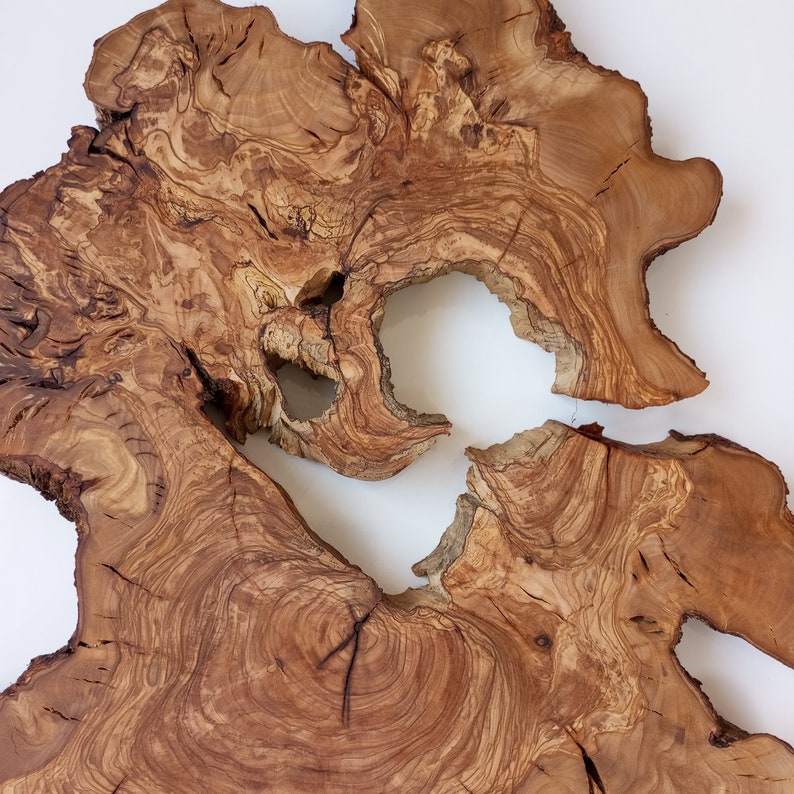 26-20 Inch Live Edge Olive Root Slices.olive Tree Root - Etsy