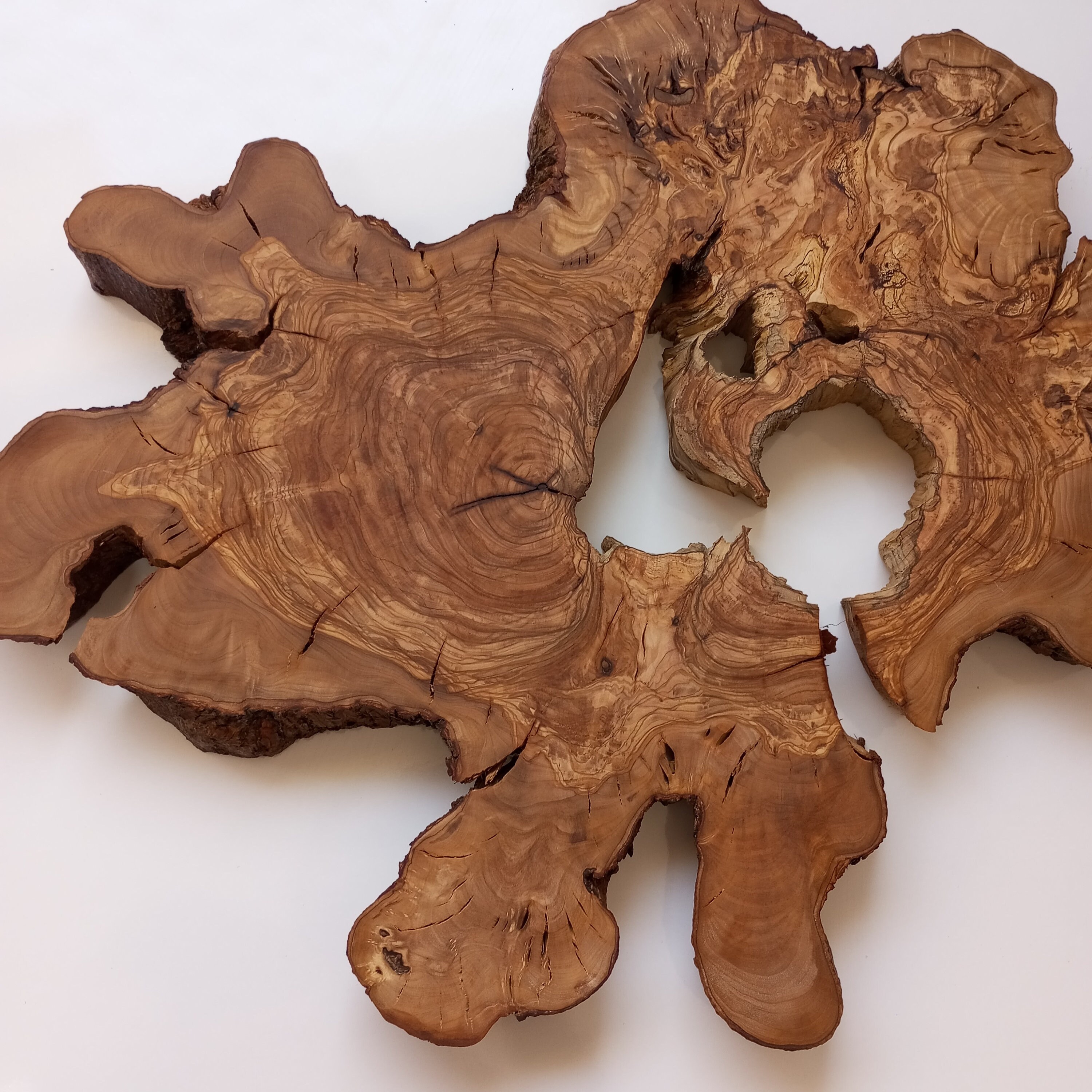 26-20 Inch Live Edge Olive Root Slices.olive Tree Root Slice.raw ...