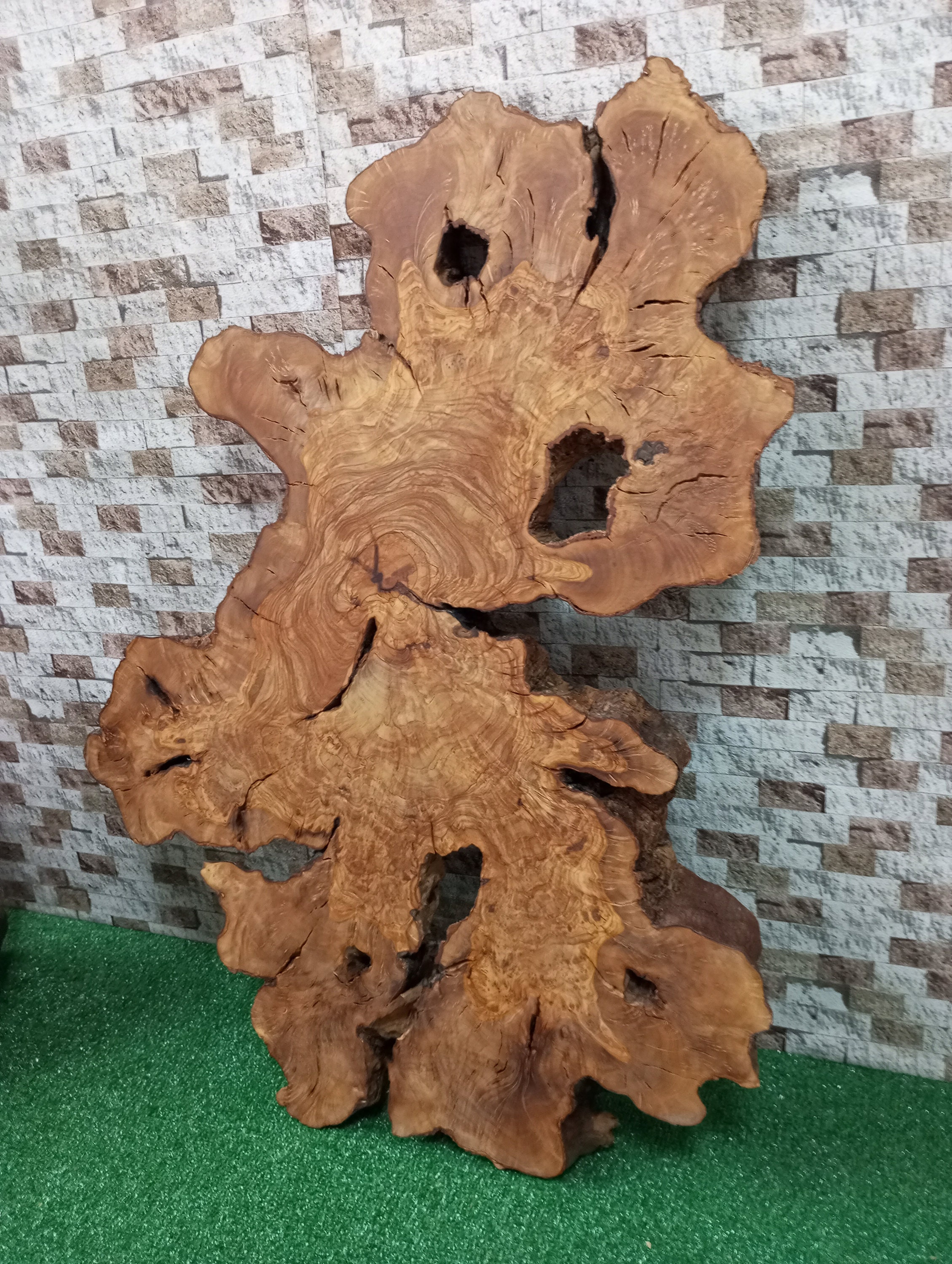 Olive Root Slice,live Edge Slice,olive Slices,olive Wood Slice,live ...