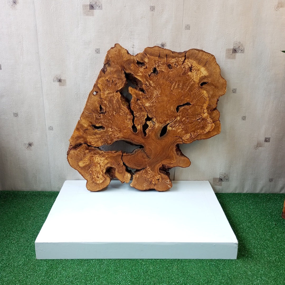 Big Size OLIVE Wood,live Edge Wood,olive Tree Slice,olive Wood,live ...